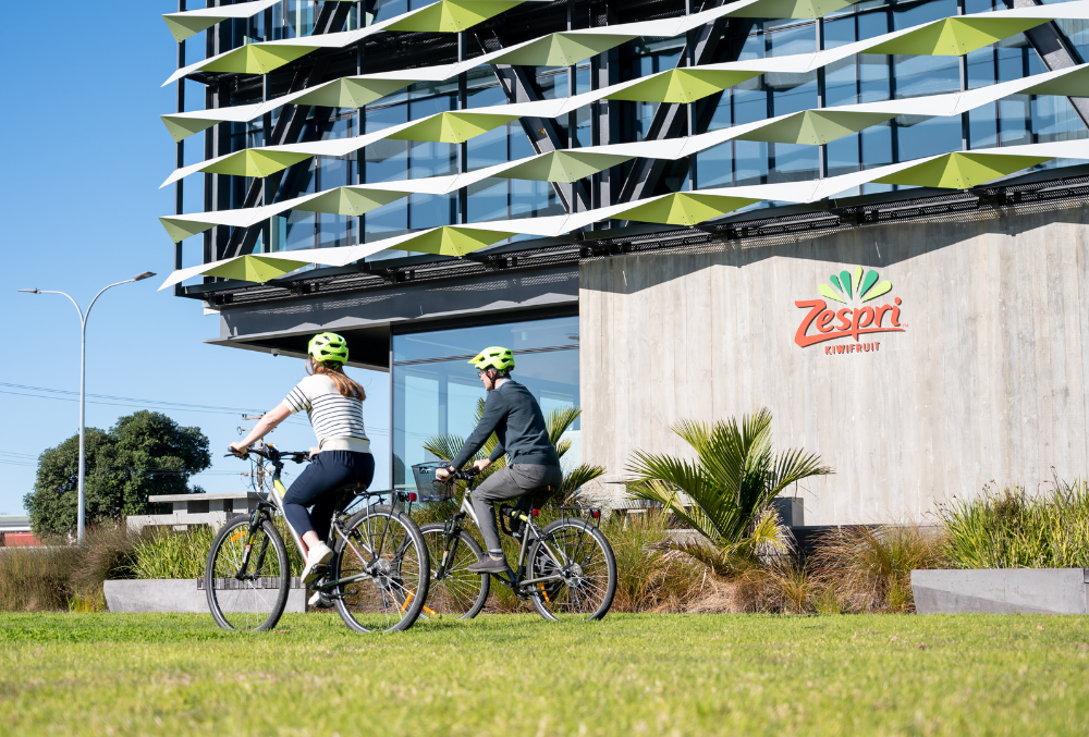 Zespri Office Tour at 400 Maunganui Road, Mount Maunganui