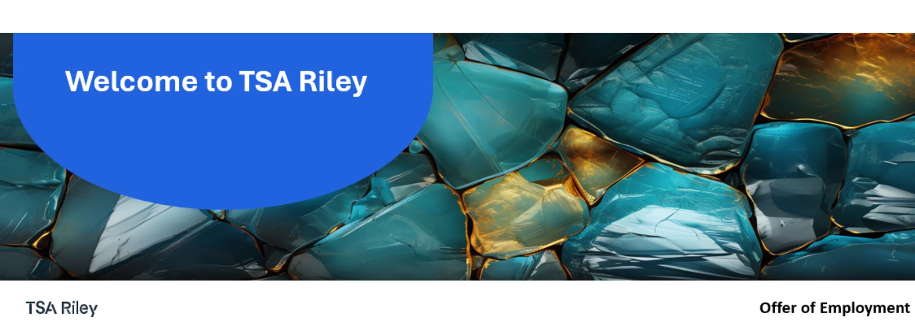 TSA Riley NZ Graduate Programme