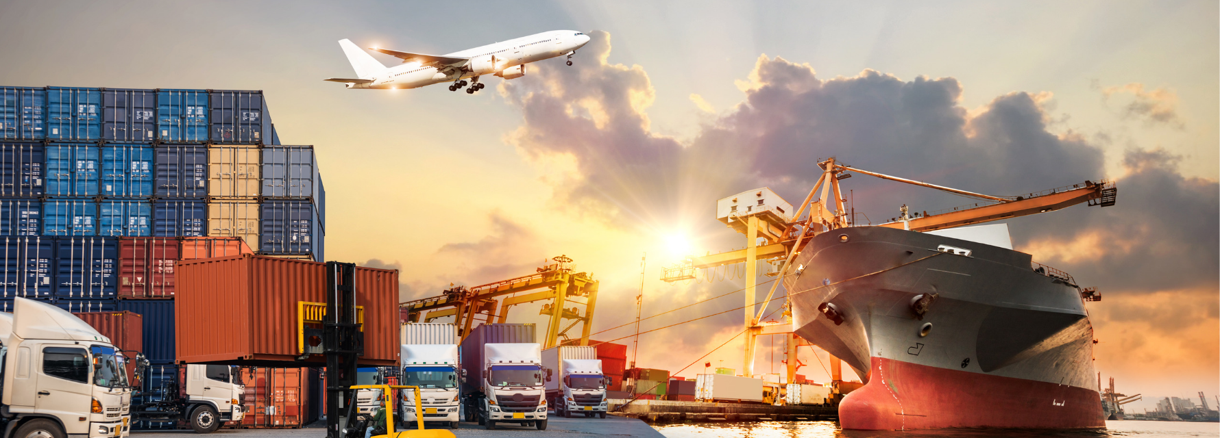 How to get a graduate job in transport or logistics