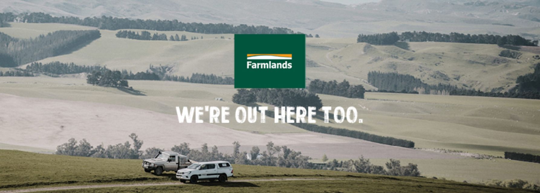 Farmlands Graduate Programmes | Prosple New Zealand/GradNewZealand