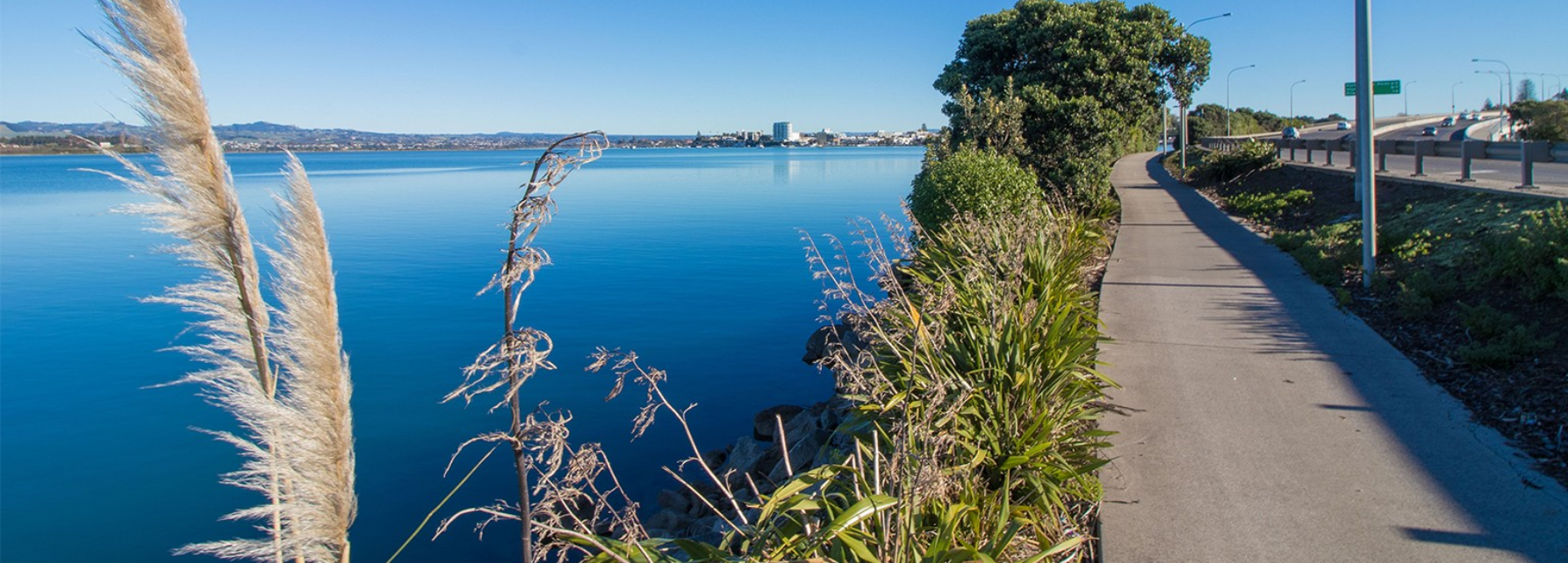 Tauranga City Council Graduate Programmes | Prosple New Zealand