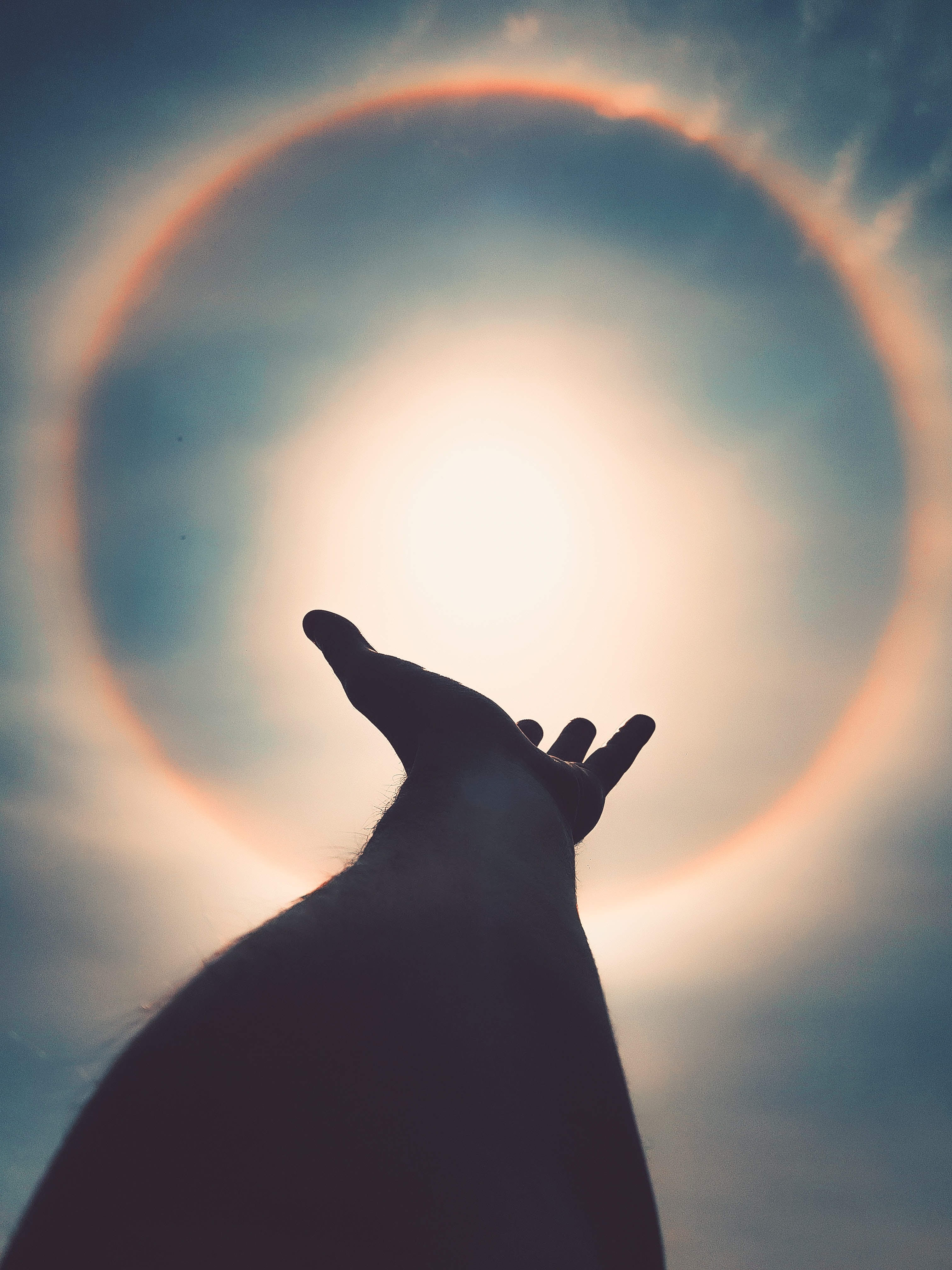 Halo Effect