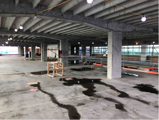 Deloitte Auckland Office