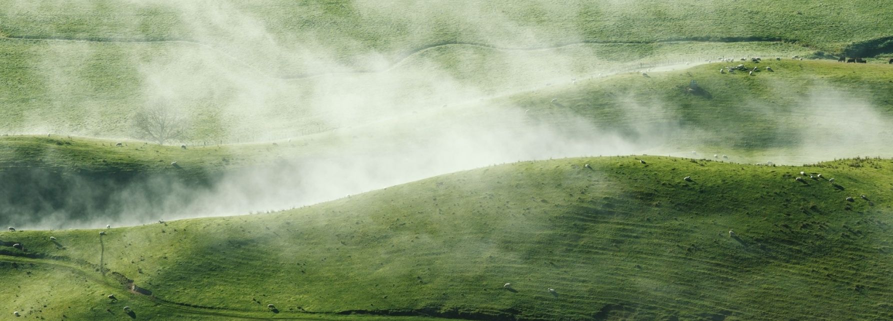 Pamu Farms of New Zealand Graduate Programmes | Prosple New Zealand