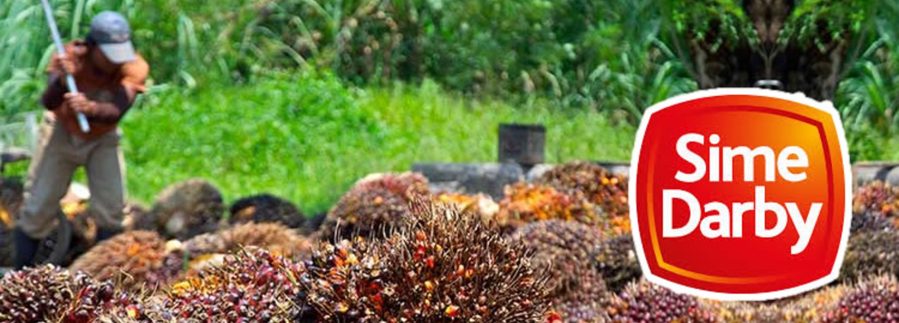 Sime Darby Graduate Programs | Prosple Malaysia