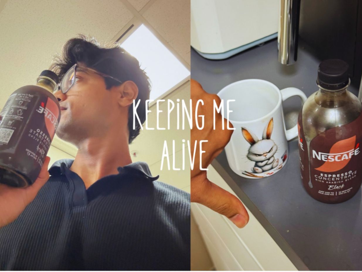 Shivam Shipankar's story as Graduate UX Designer at Queensland ...