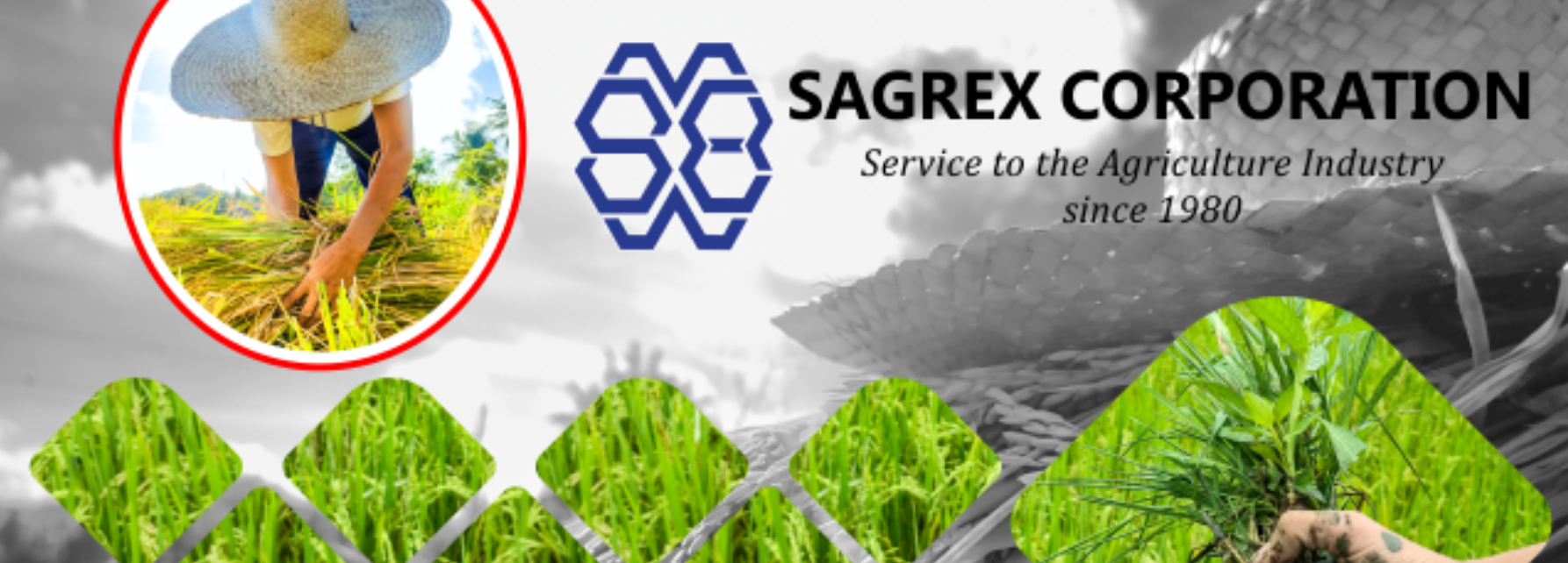 Sagrex Corporation Internships, On the Job Training (OJT) and Fresher ...