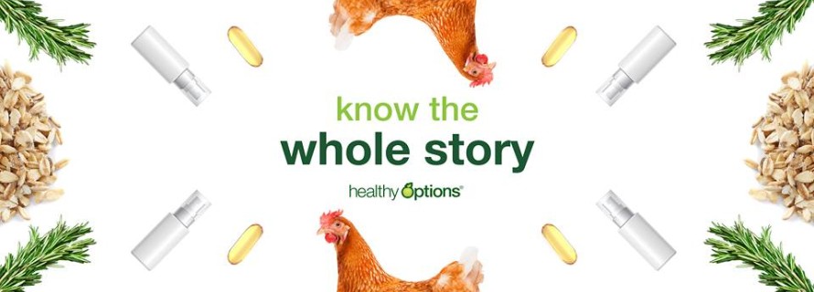 Healthy Options Internships, On the Job Training (OJT) and Fresher ...