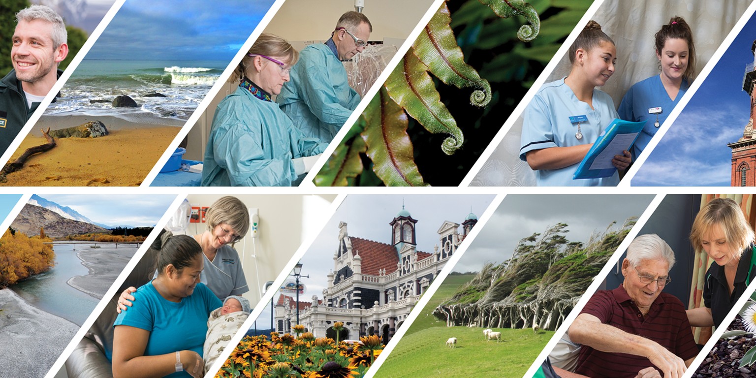 Southern District Health Board (New Zealand) Graduate Programs | UNSW ...