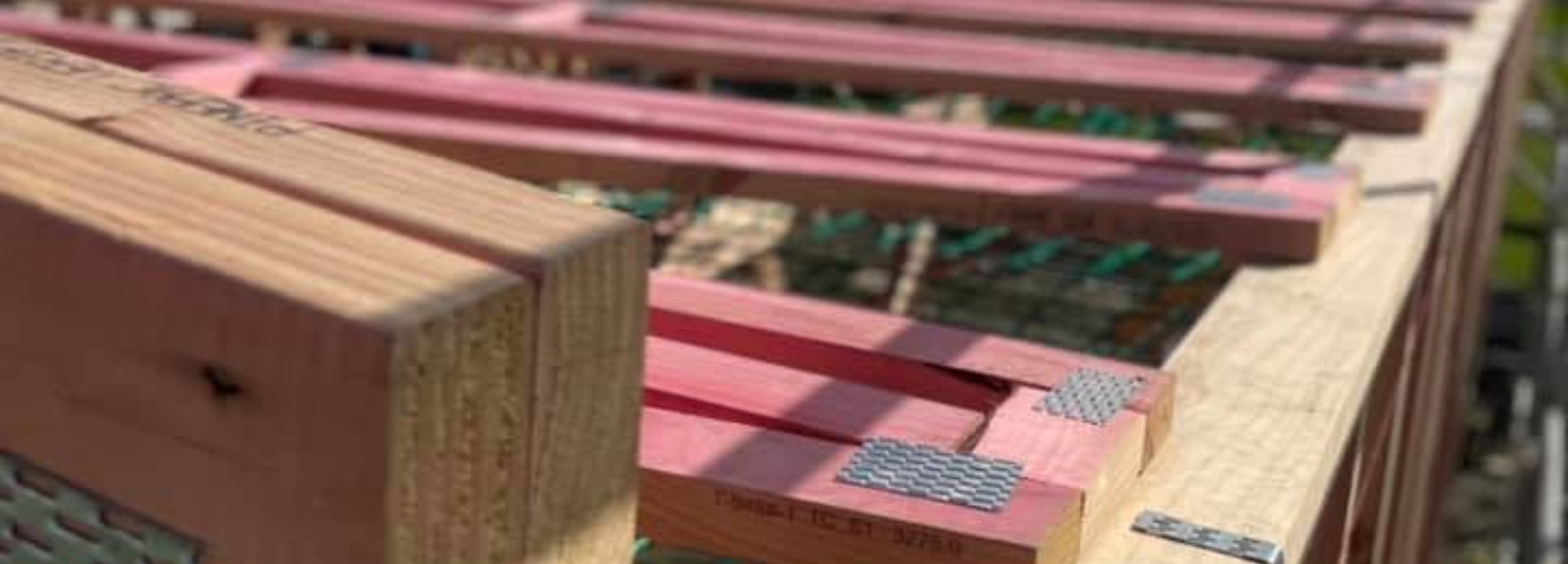 Red Timber Construction Graduate Programs | Unitec Career and ...