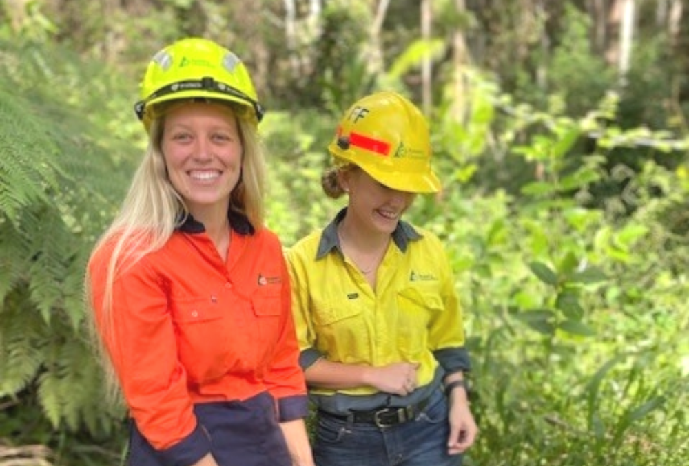 Top tips to score a graduate role with Forestry Corporation NSW