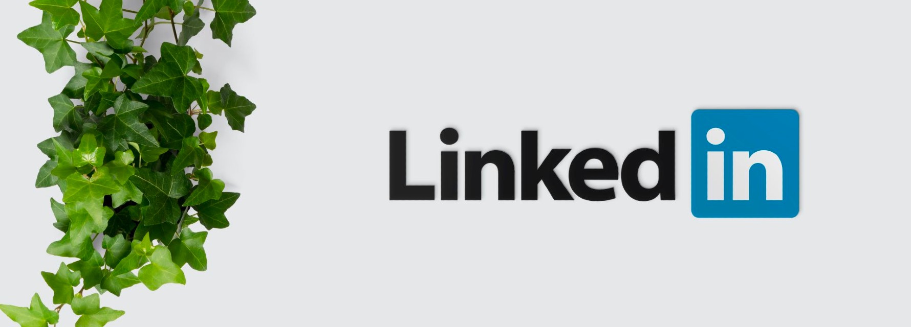 How to Make A LinkedIn Profile