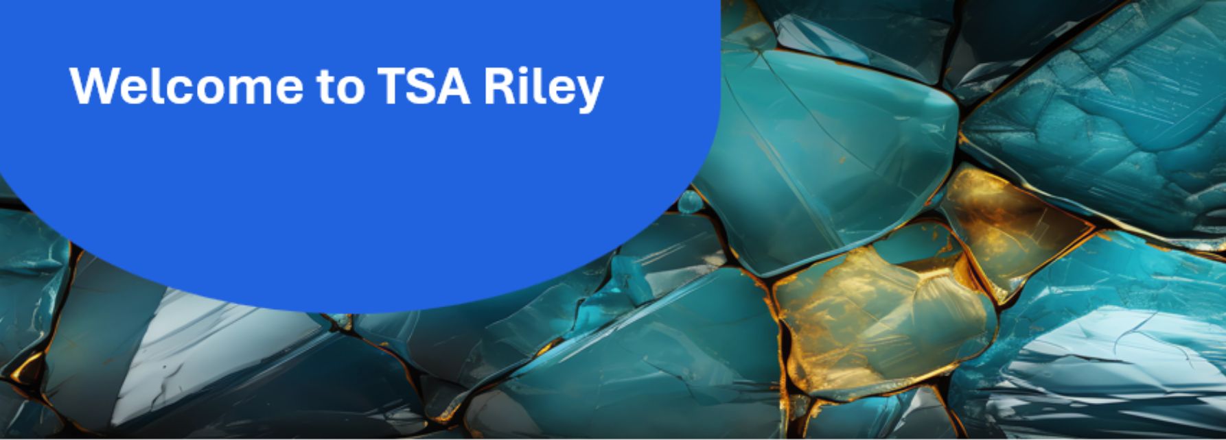 TSA Riley NZ Graduate Programmes | Prosple New Zealand