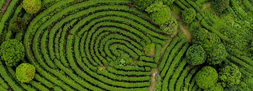 Sutherland Global Services Internships & Fresher Job Opportunities ...