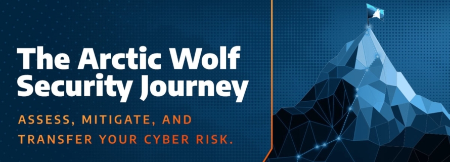 Arctic Wolf Networks