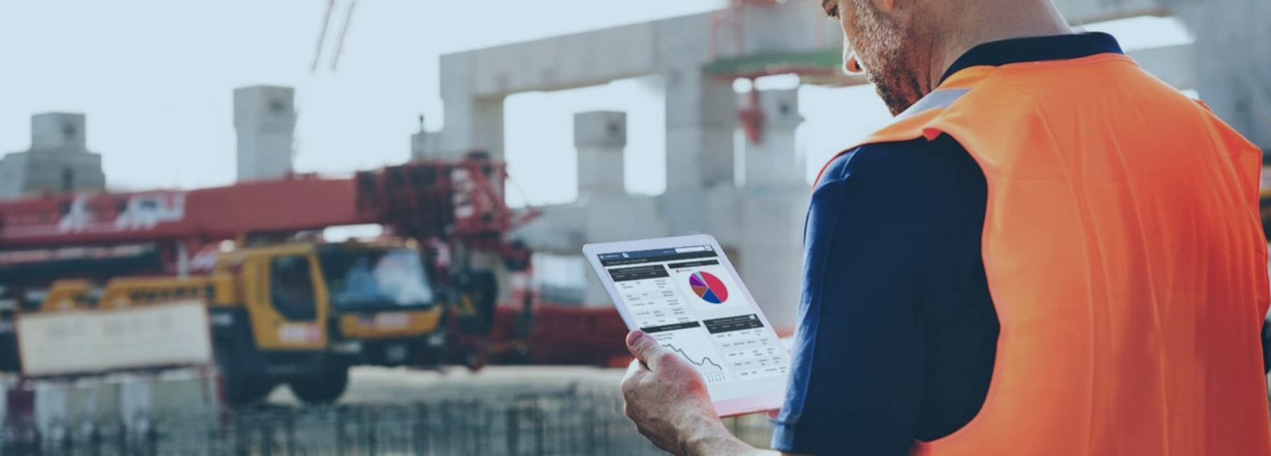 HammerTech Graduate Programs | Prosple Australia