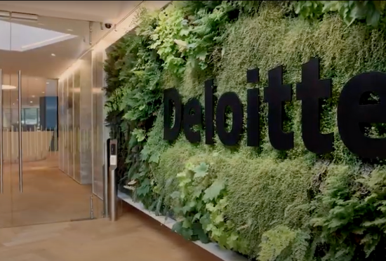 Deloitte Dunedin Office