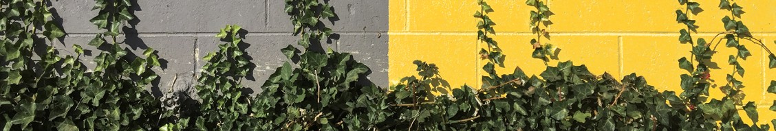 Wiley India Internships & Entry-level Jobs