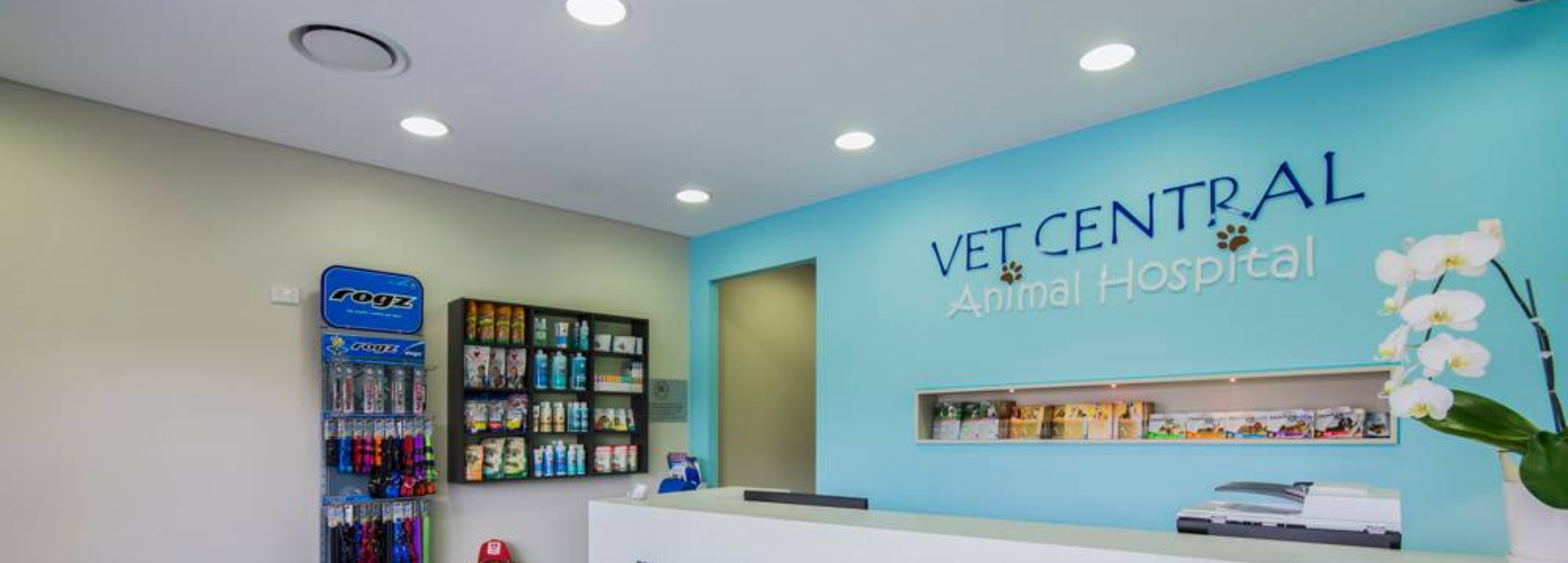Vet Central Animal Hospital Graduate Programmes | Prosple Australia