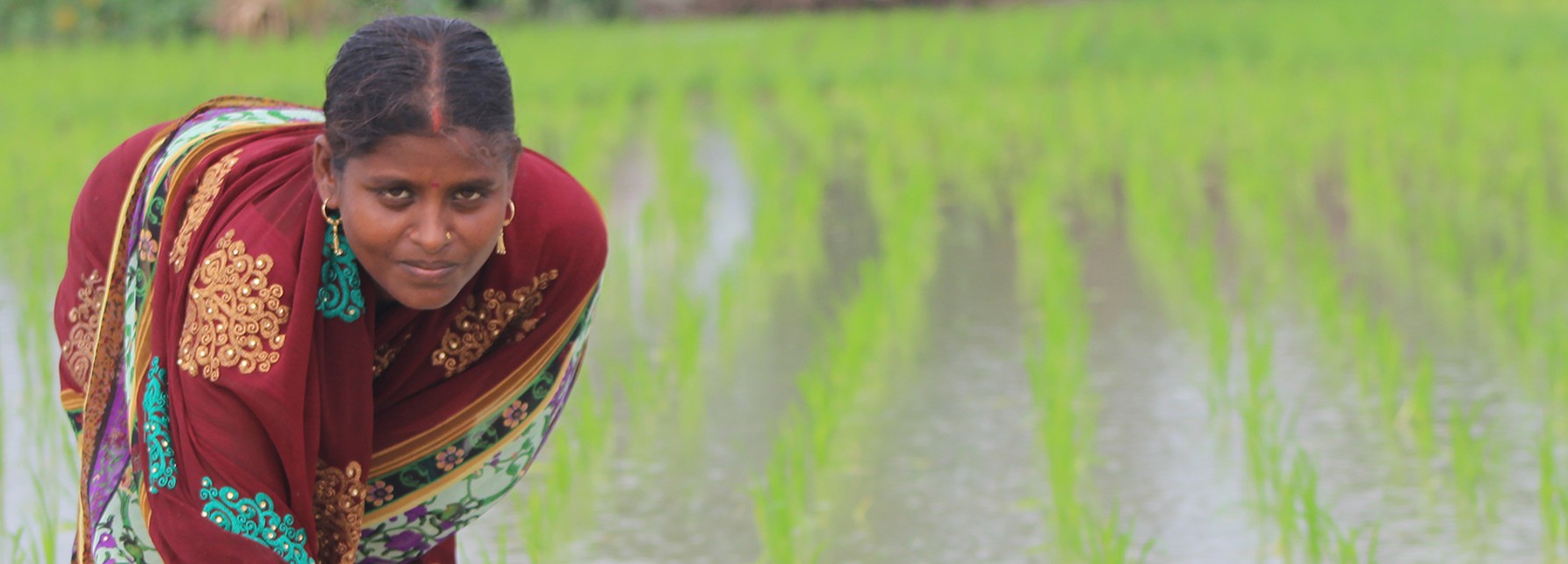 Bihar Rural Livelihoods Promotion Society Internships & Fresher Job ...