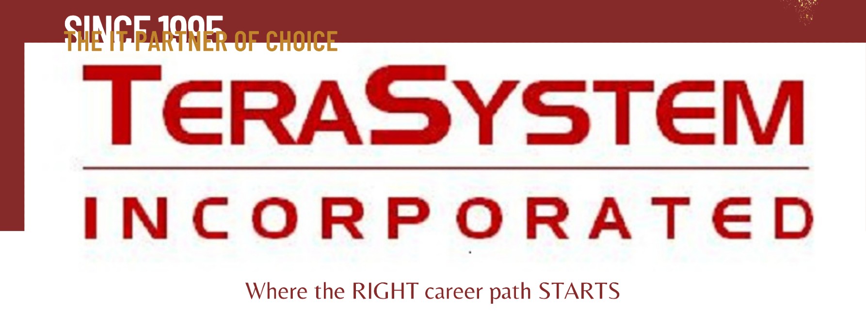 Tera System, Inc. Internships, On the Job Training (OJT) and Fresher ...