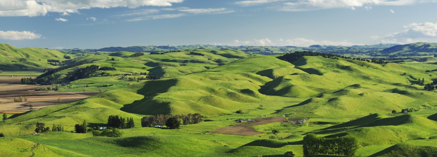 AFFCO Graduate Programmes | Prosple New Zealand/GradNewZealand