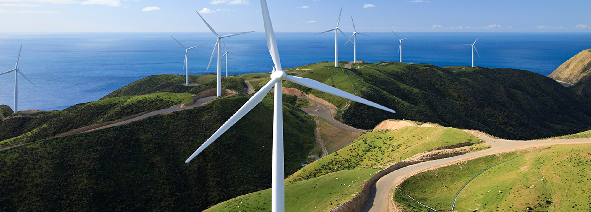 Tonkin + Taylor Graduate Programmes | Prosple New Zealand