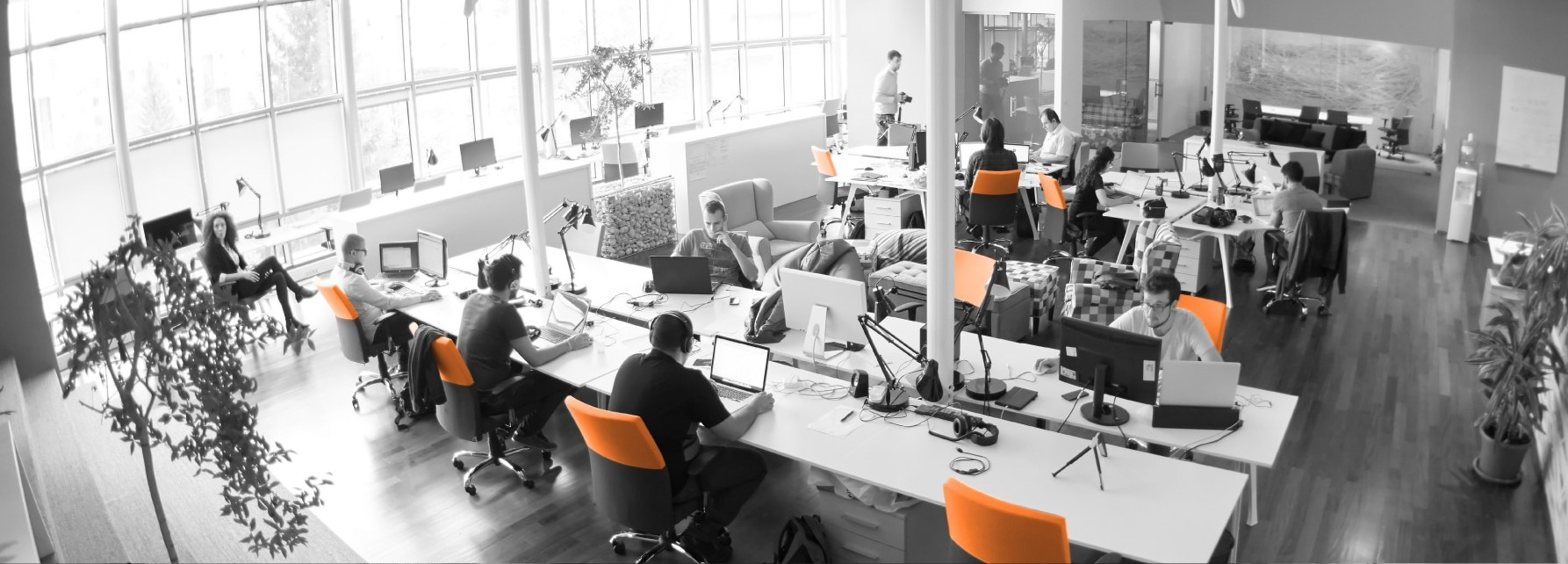 Executive - Capability Development null