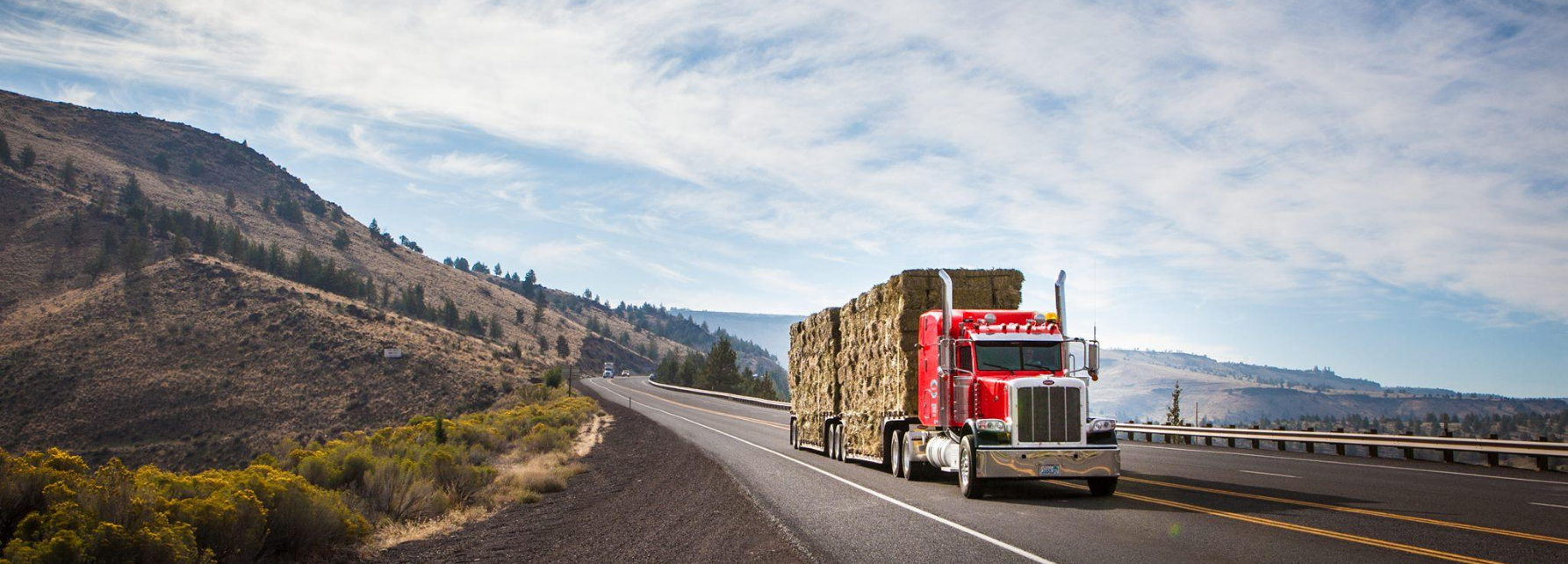 Internship Program null