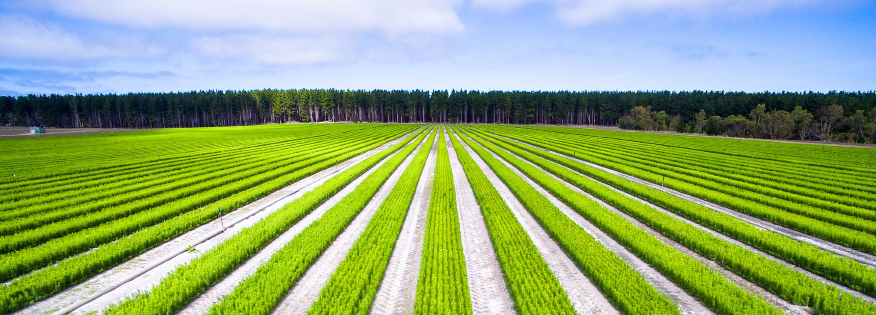 OneFortyOne Internships & Entry-level Jobs