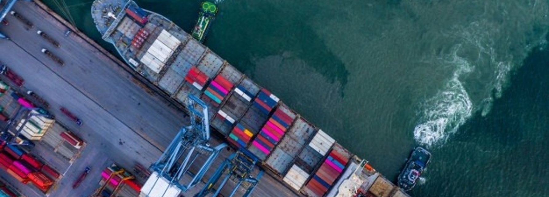 C.I.E.F Worldwide SDN BHD Graduate Programs | Prosple Malaysia