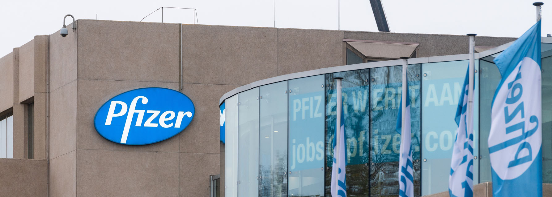 Medical Review Excellence Undergraduate null