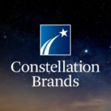 constellation information technology intern